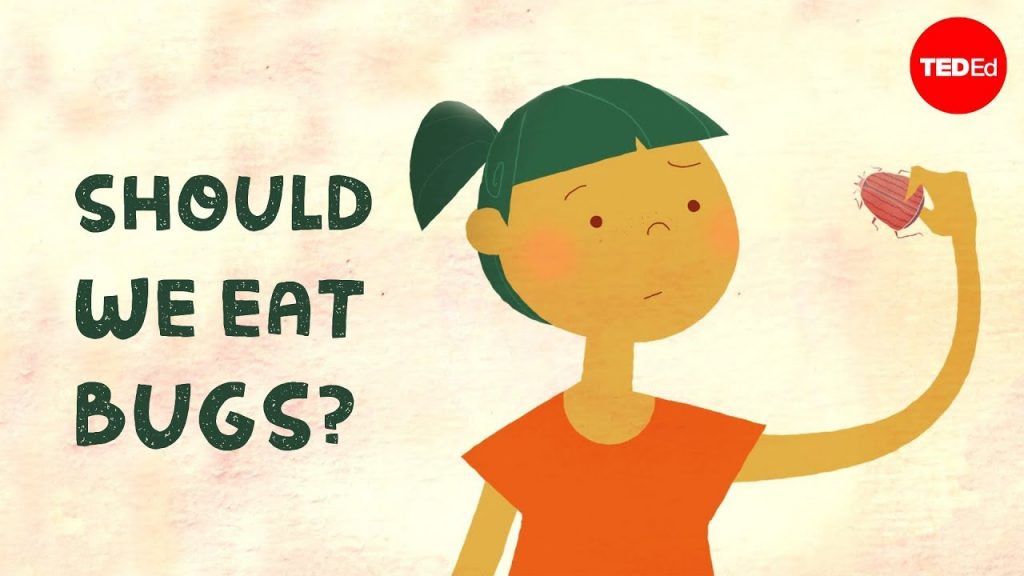 Should we eat bugs? - Emma Bryce - Reporte Ciencia UANL