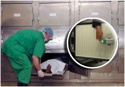 En la morgue, los refrigeradores se abren desde el interior - Reporte Ciencia UANL