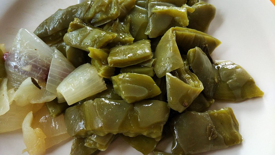 Nopal, un aliado contra las enfermedades - Reporte Ciencia UANL