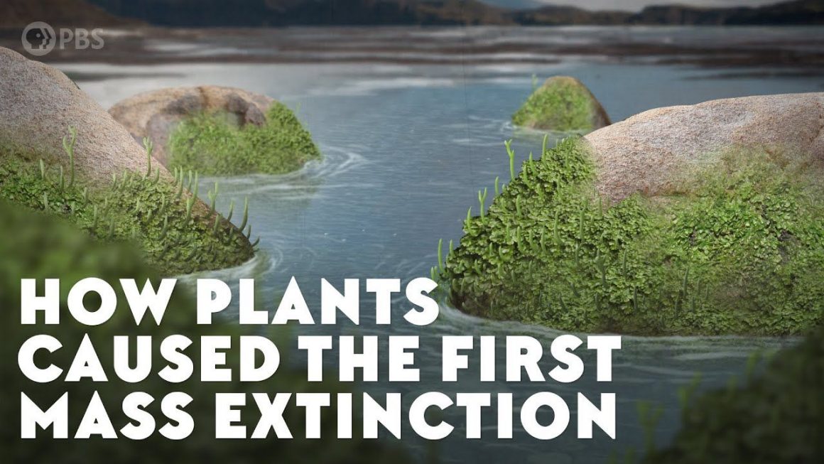 How Plants Caused the First Mass Extinction - Reporte Ciencia UANL