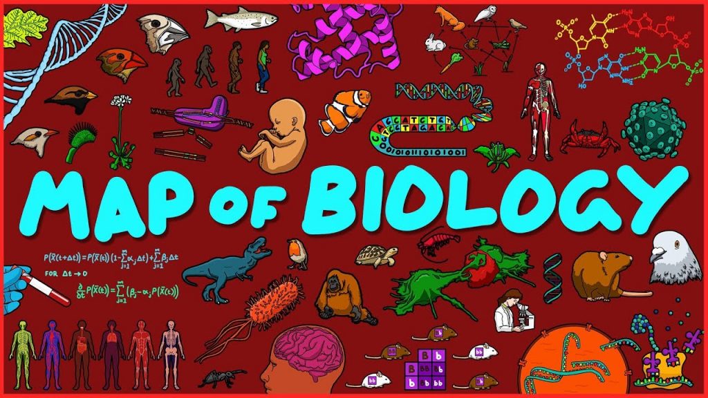 Map of Biology - Reporte Ciencia UANL